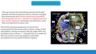 ferrtin.pdf hormones iron profile . ferritin | PDF