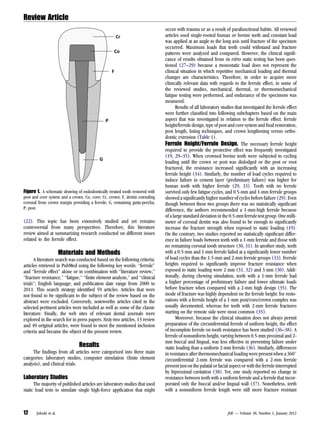 Ferrule | PDF