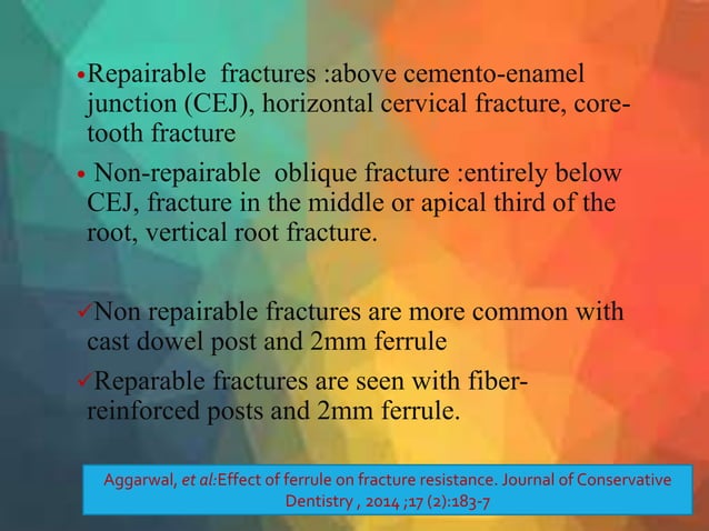 Ferrule 3 | PPT