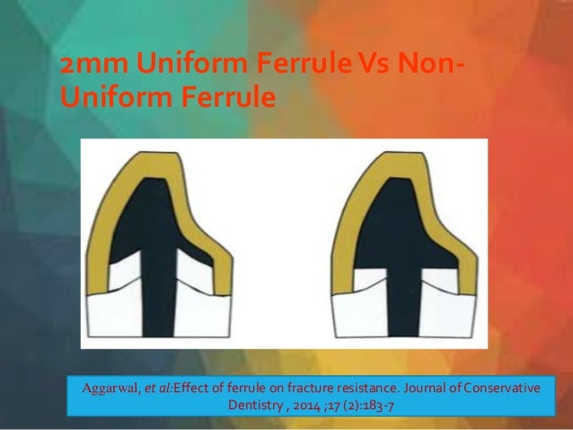 Ferrule 3