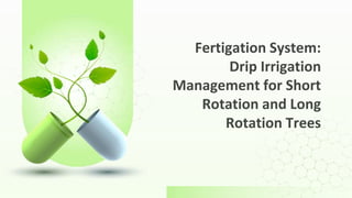 fertigation strategies for long and short rotation trees.pptx