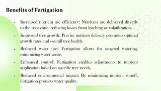 fertigation strategies for long and short rotation trees.pptx
