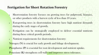 fertigation strategies for long and short rotation trees.pptx