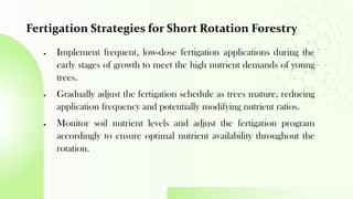 fertigation strategies for long and short rotation trees.pptx