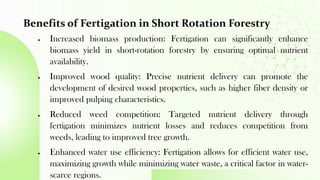 fertigation strategies for long and short rotation trees.pptx