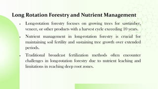 fertigation strategies for long and short rotation trees.pptx