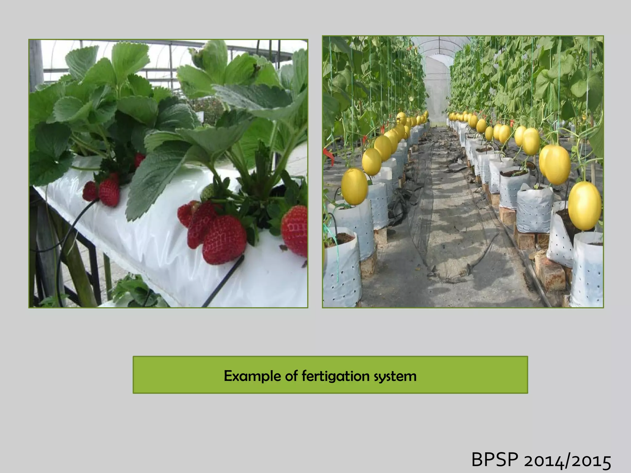 Fertigation system | PPT