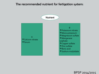 Fertigation system | PPT