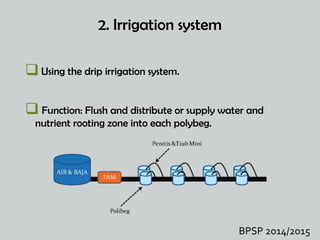 Fertigation system | PPT