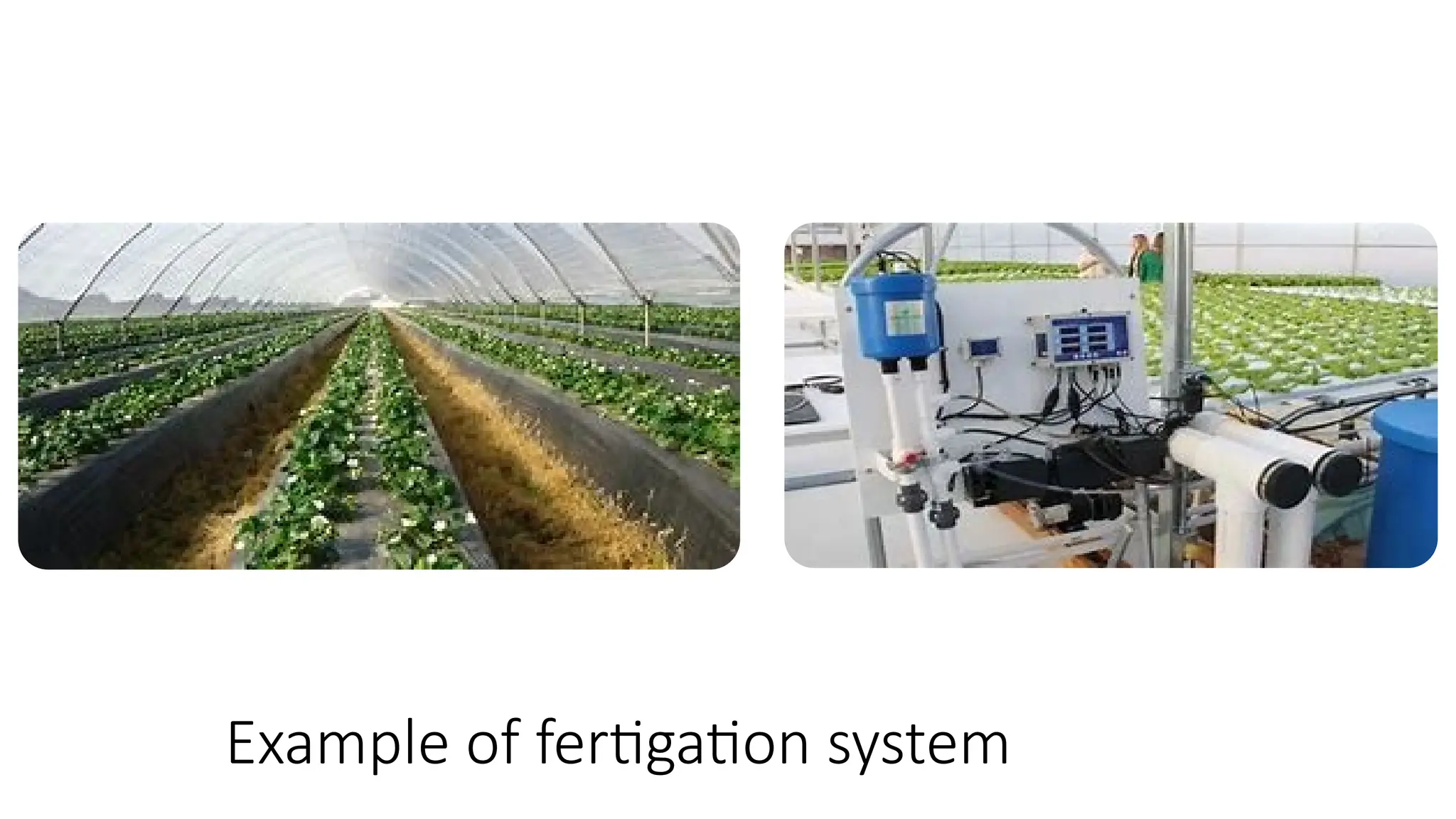 fertigation and their use in INM PPT.pptx