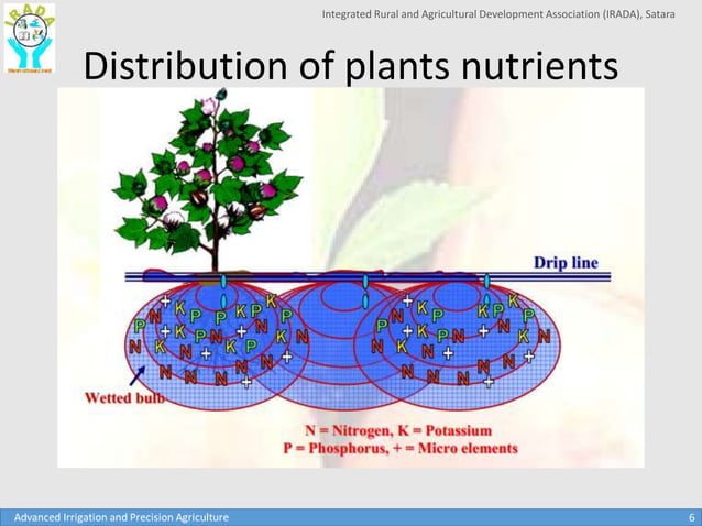 Fertigation system | PPTX