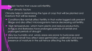 Fertile Soils determination and identification | PPT