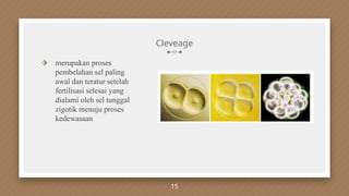 fertilisasi cleveage implantasi pada hewan ternak | PPTX