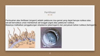 fertilisasi cleveage implantasi pada hewan ternak | PPTX