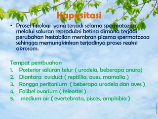 Fertilisasi dan nidasi | PPTX