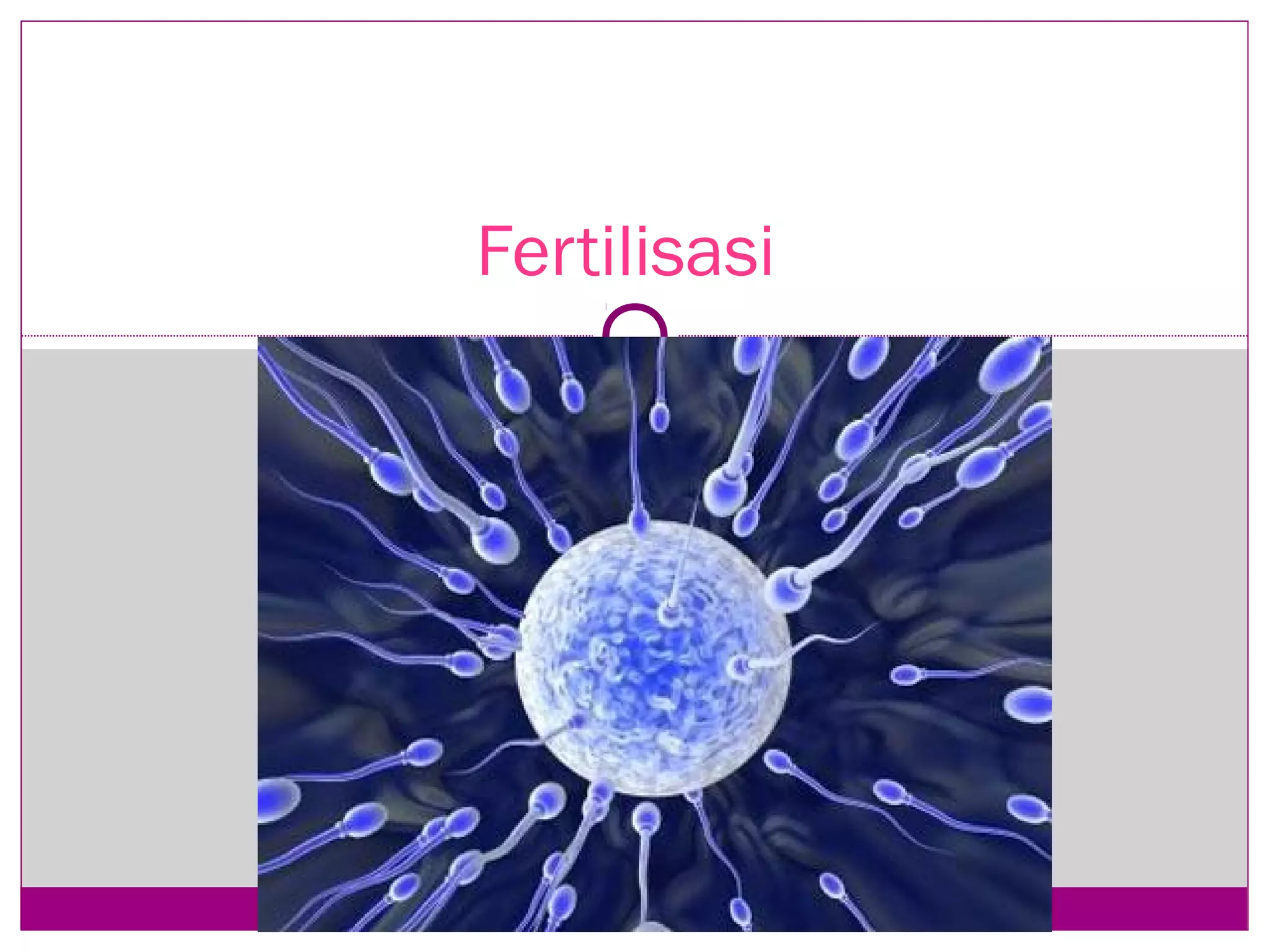 Fertilisasi dan nidasi | PPT