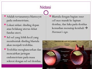 Fertilisasi dan nidasi | PPT
