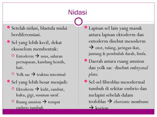 Fertilisasi dan nidasi | PPT