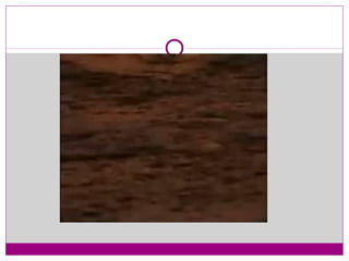 Fertilisasi dan nidasi | PPT