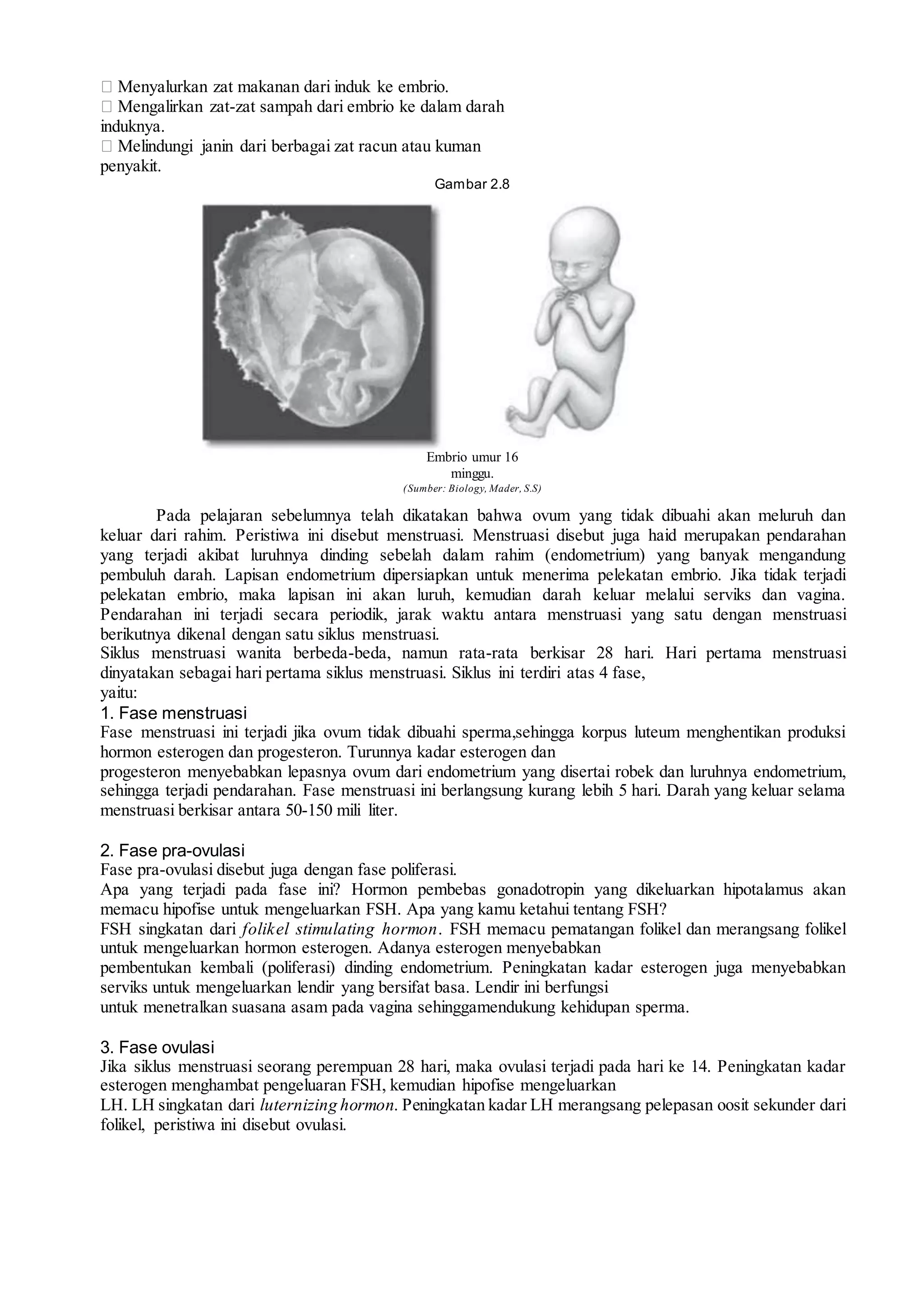 Fertilisasi dan perkembangan embrio | DOCX