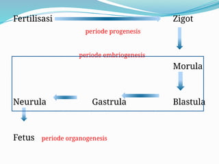 Fertilisasi, Embrigenesis dan organogenesis.ppt