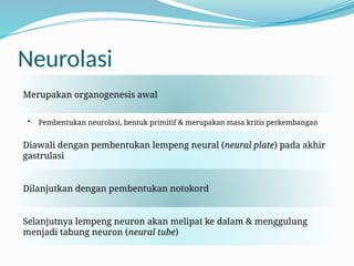 Fertilisasi, Embrigenesis dan organogenesis.ppt