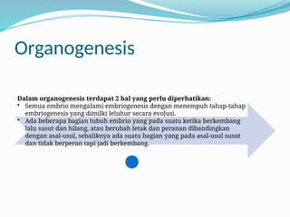Fertilisasi, Embrigenesis dan organogenesis.ppt