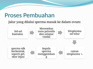 Fertilisasi, Embrigenesis dan organogenesis.ppt