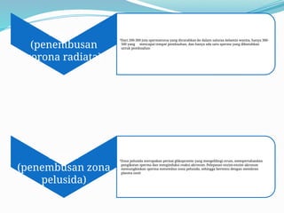 Fertilisasi, Embrigenesis dan organogenesis.ppt