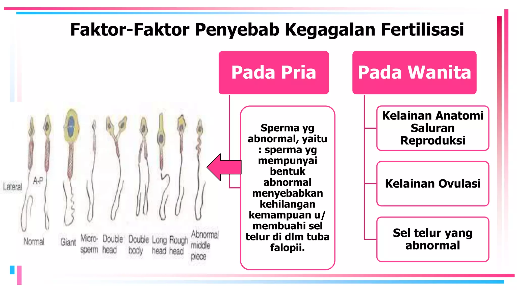 FERTILISASI (KELOMPOK 6 MATERI 4).pptx