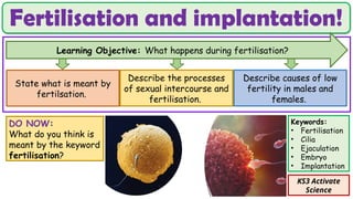 Fertilisation-and-implantation-PPT.pptxp | PPTX