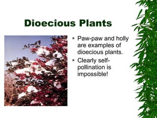 Fertilisation & Germination | PPT