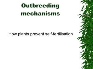 Fertilisation & Germination | PPT