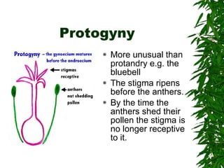 Fertilisation & Germination | PPT