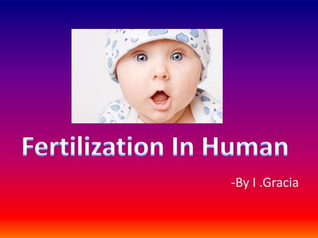 Fertilisation in human Being | PPT
