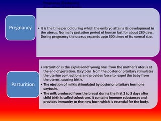Fertilisation in human Being | PPT