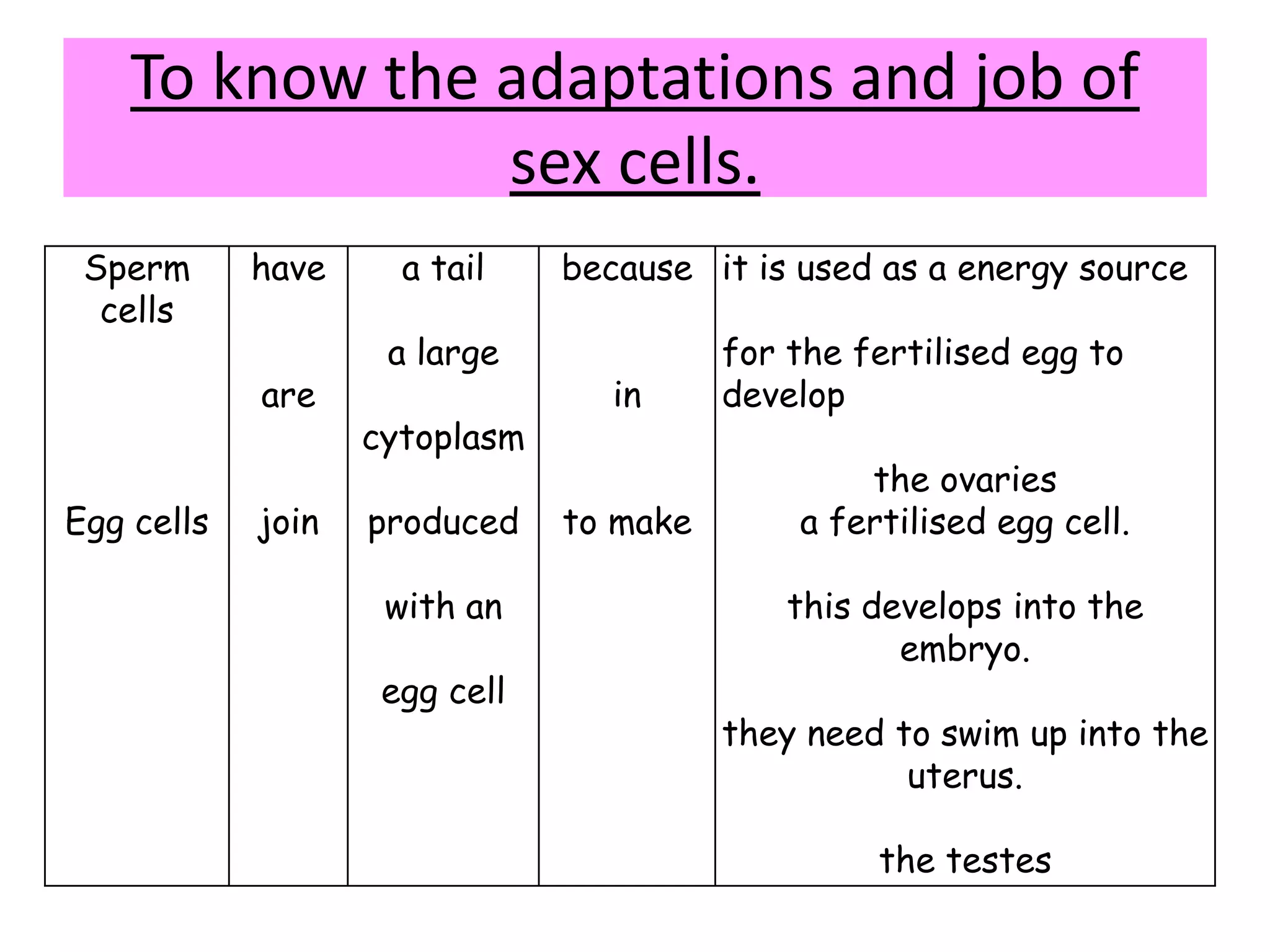 fertilisation in human.pptx