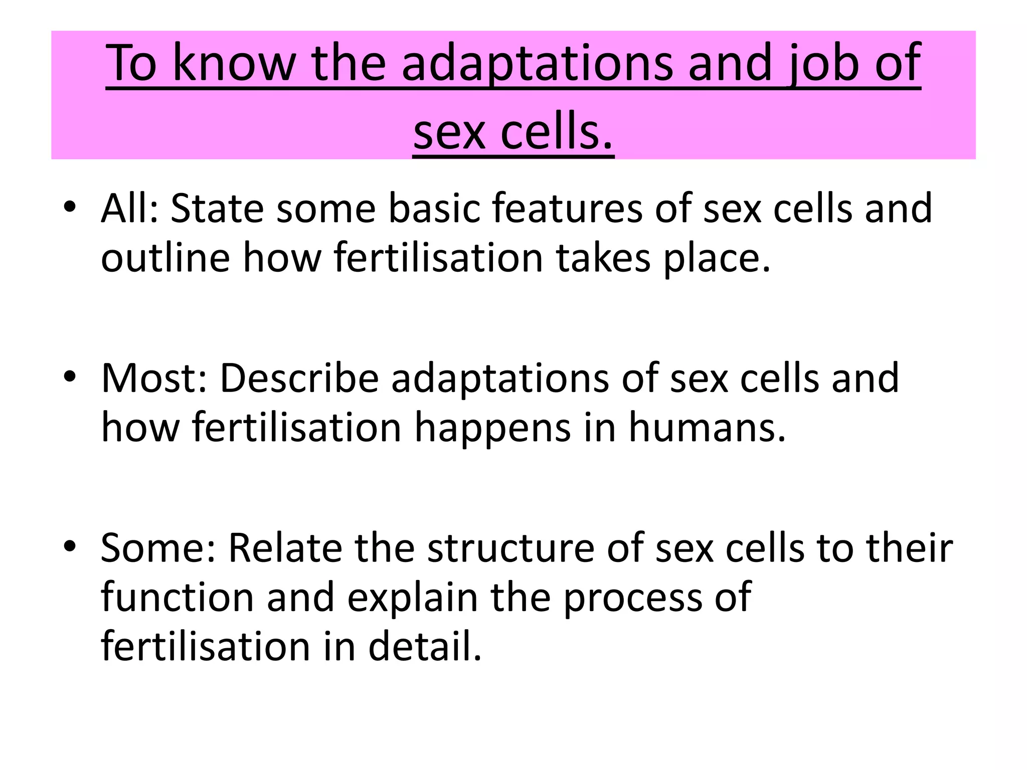 fertilisation in human.pptx