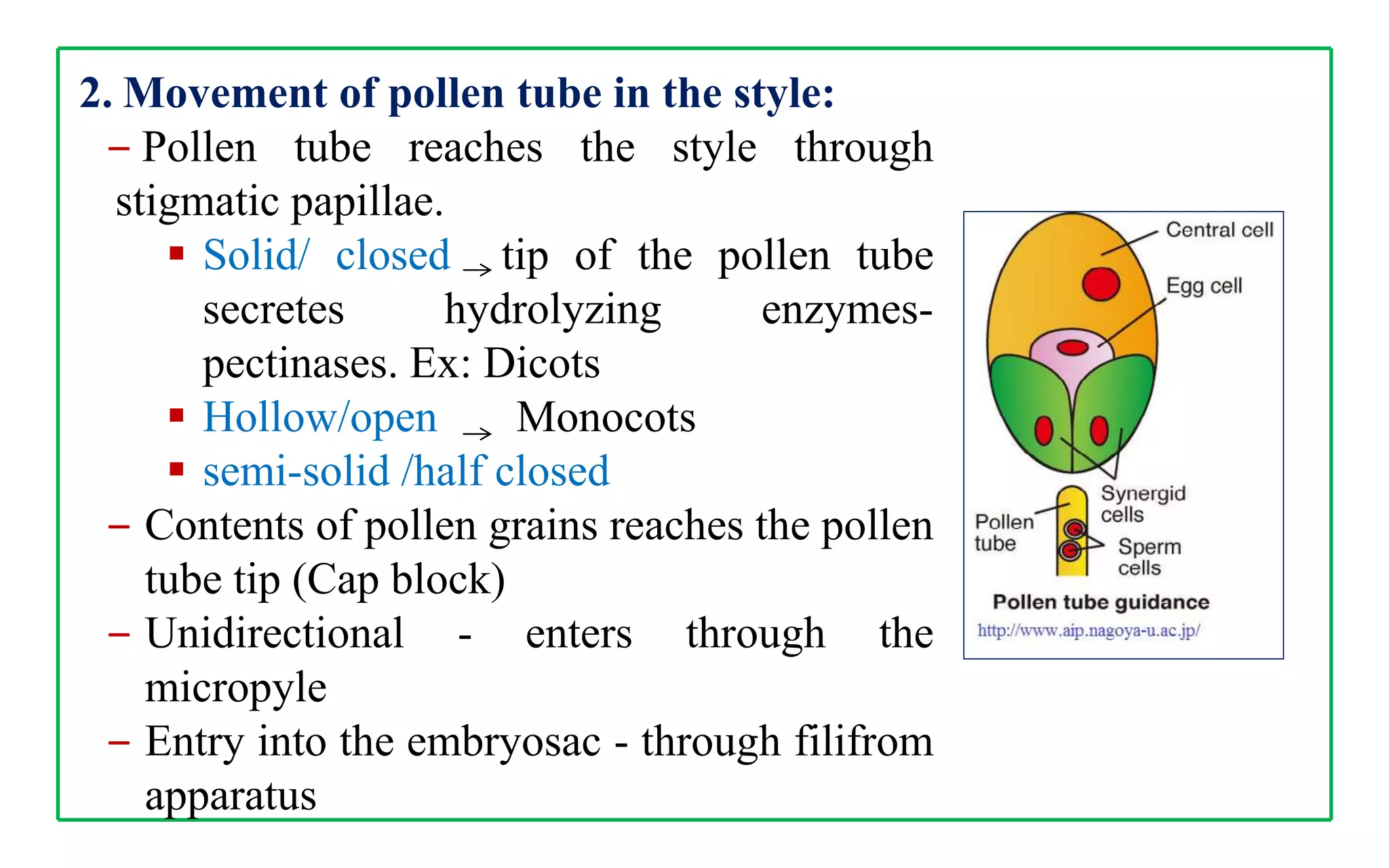 Fertilisation in plants | PPTX