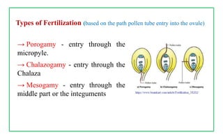 Fertilisation in plants | PPTX