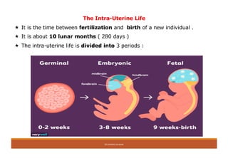 Fertilisation New.pdf embryology first year | PDF