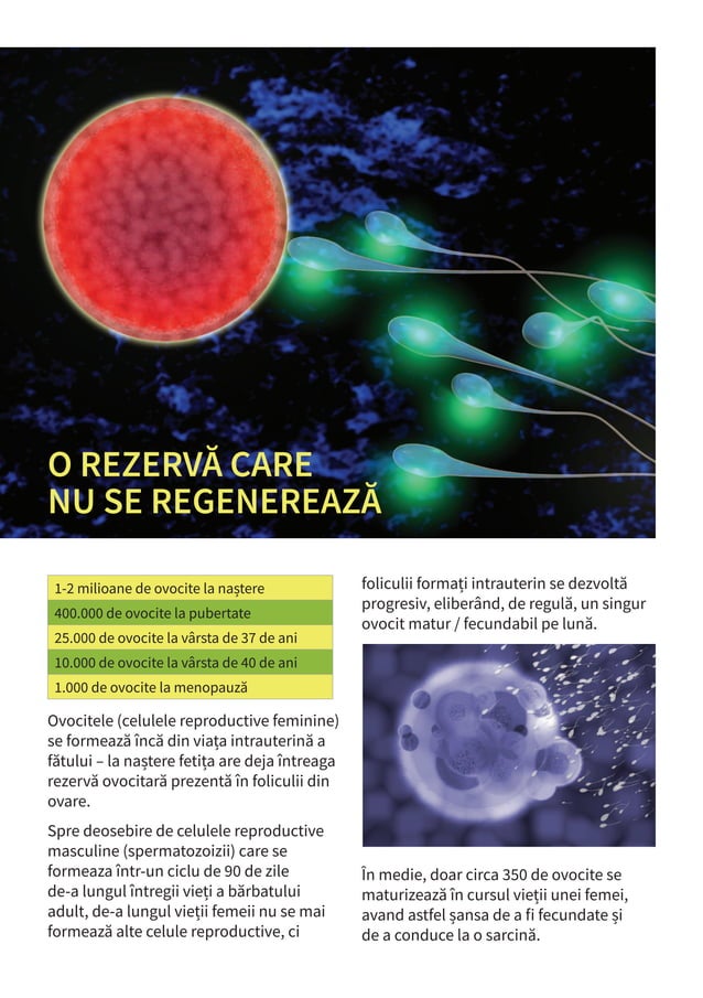 Fertilitatea Feminina #fertility_education | PDF