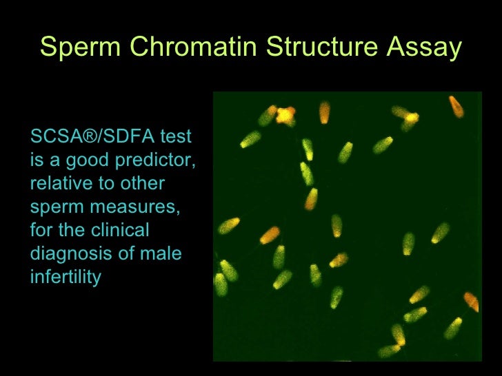 Fertility Options: IVF Overview
