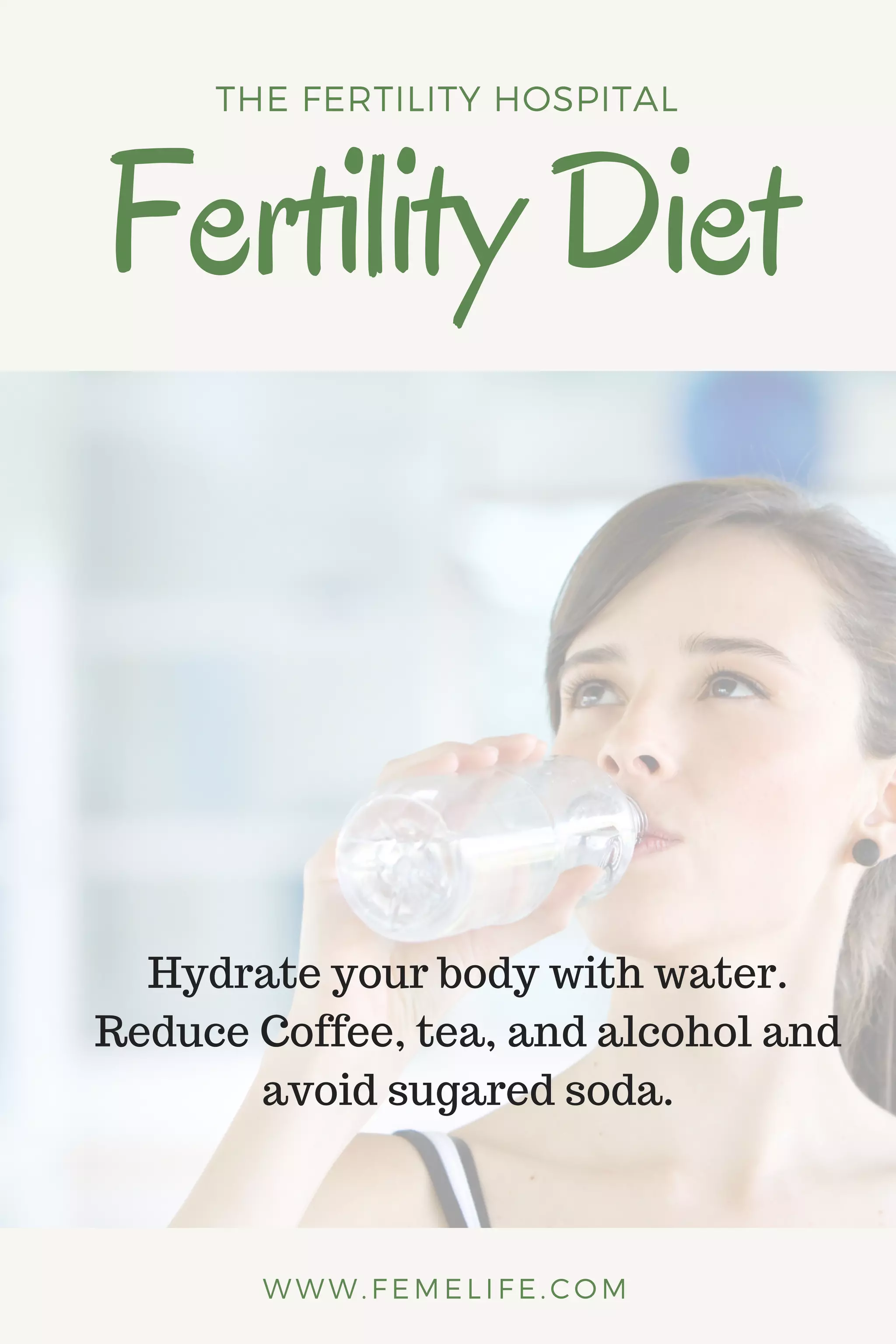 Fertility diet | PDF