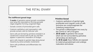 fertility MAIN.pptx | Infertility | Reproductive Health