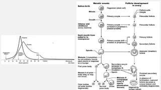 fertility MAIN.pptx | Infertility | Reproductive Health