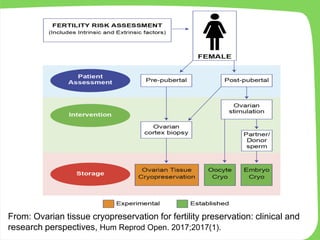 Fertility preservation lecture | PDF