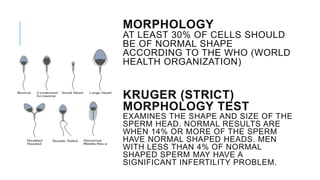Fertility tests | PPTX
