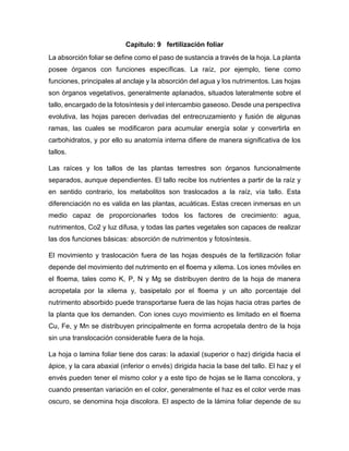 Fertilizacion Foliar .pdf