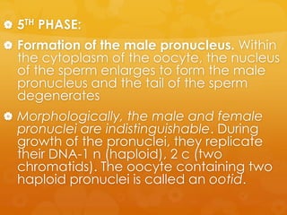 Fertilization | PPT